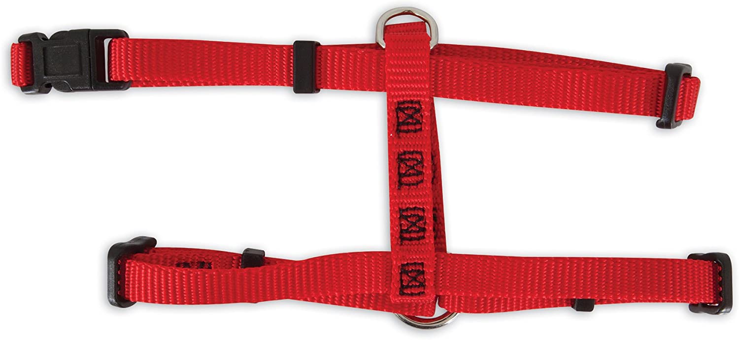 Petmate Standard Cat Harness 3/8" x 8-16" Red – Catmail Catalog